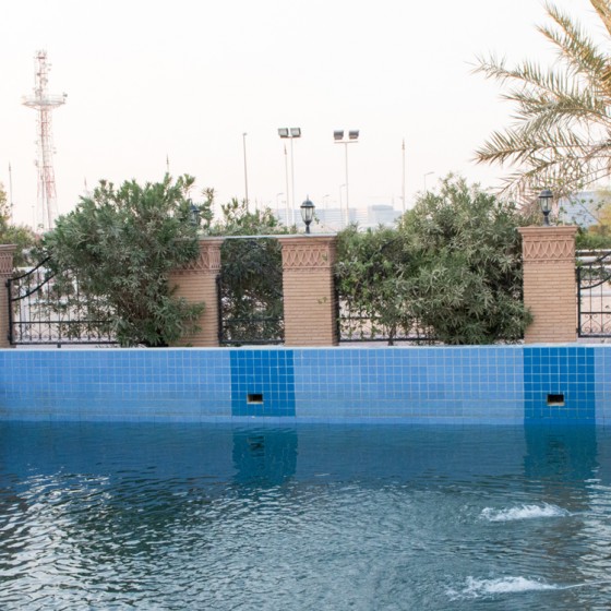 Horse Swimming Pool – International Horse Care Center